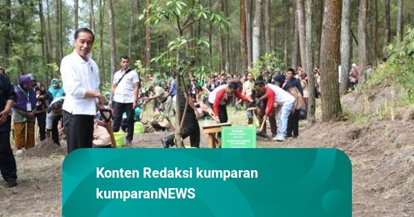 Jokowi Lepas Elang Jawa dan Tanam Pohon di Taman Nasional Gunung Merapi | kumparan.com